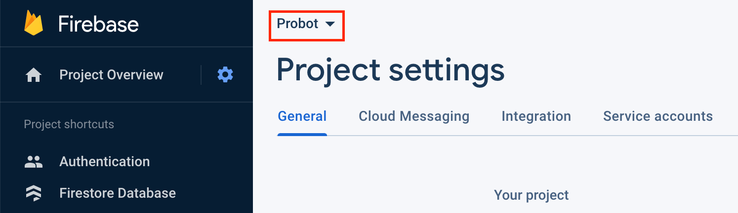 Probot - Flutter Document