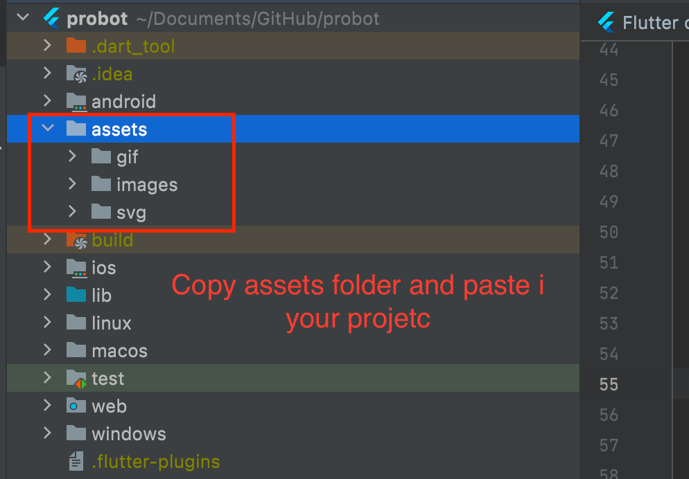 Probot - Flutter Document