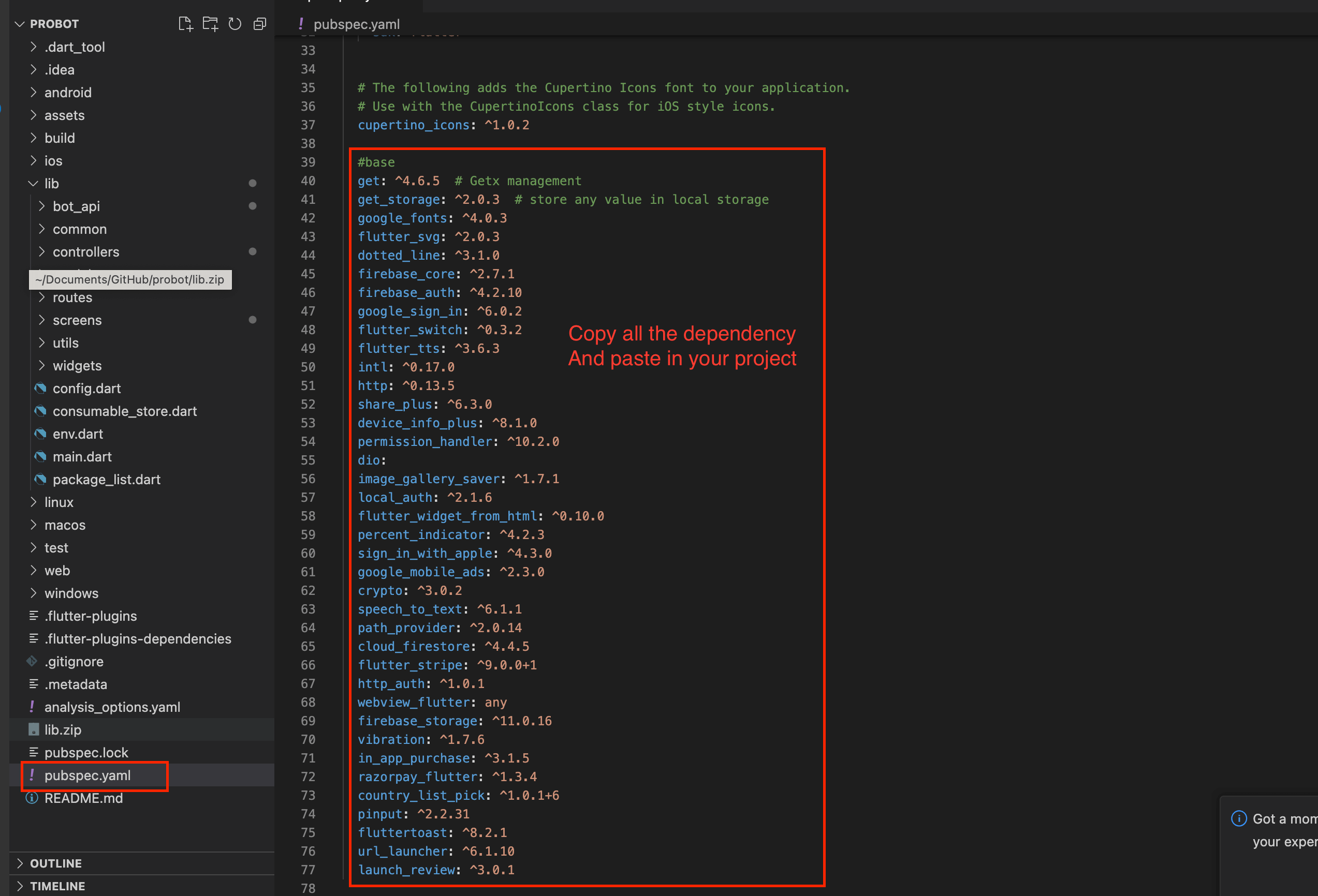 Probot - Flutter Document